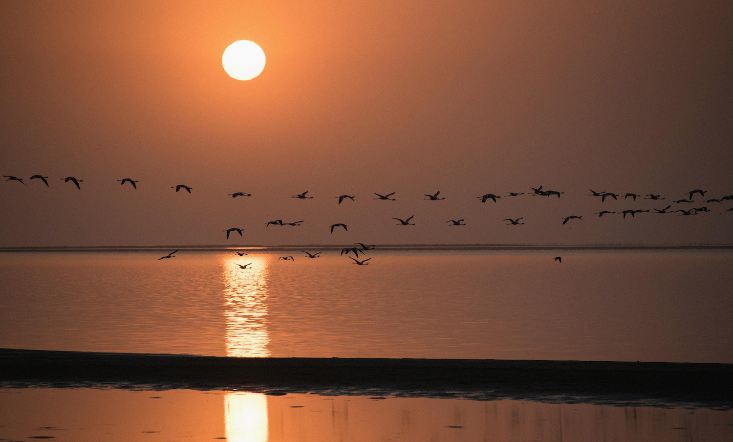 Flesh Of The Sun – Doek!